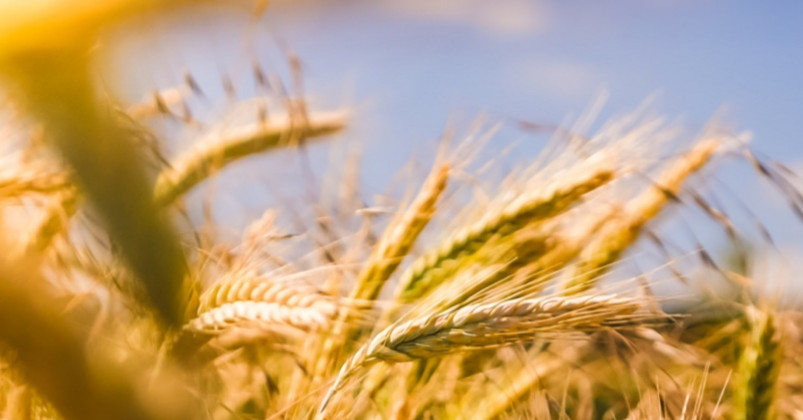 What is ERDE? | Erde-Recycling